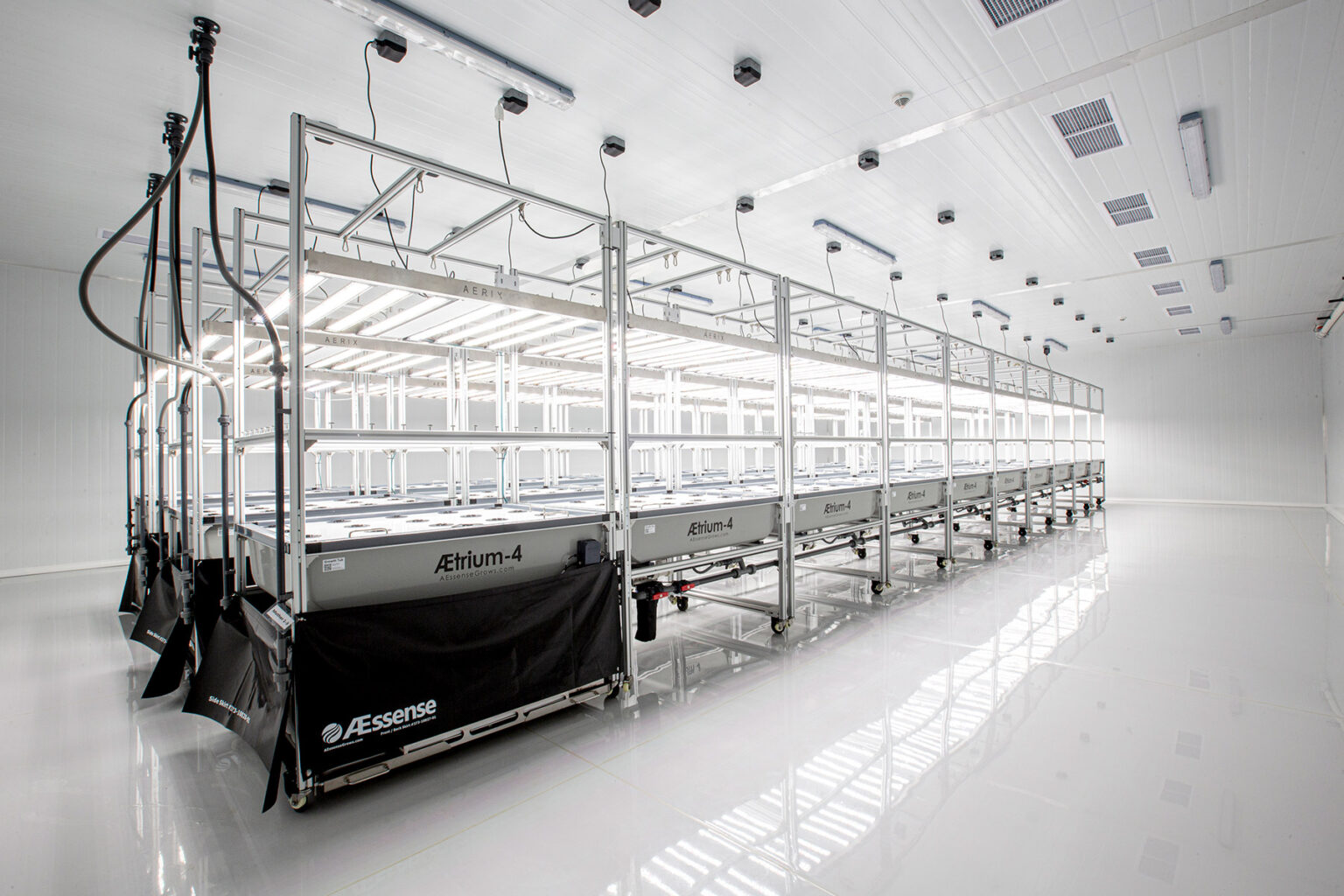 Technology | Aeroponics, AI & Sustainable Cultivation - MEDuCAN