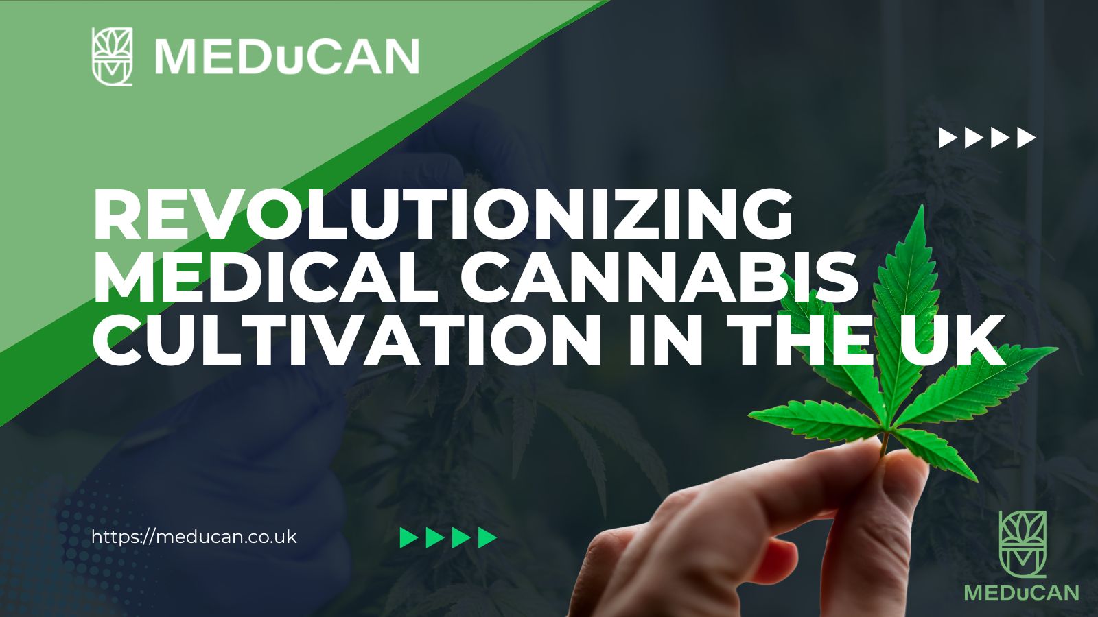 MEDuCAN | UK’s First Aeroponic Medical Cannabis Cultivator